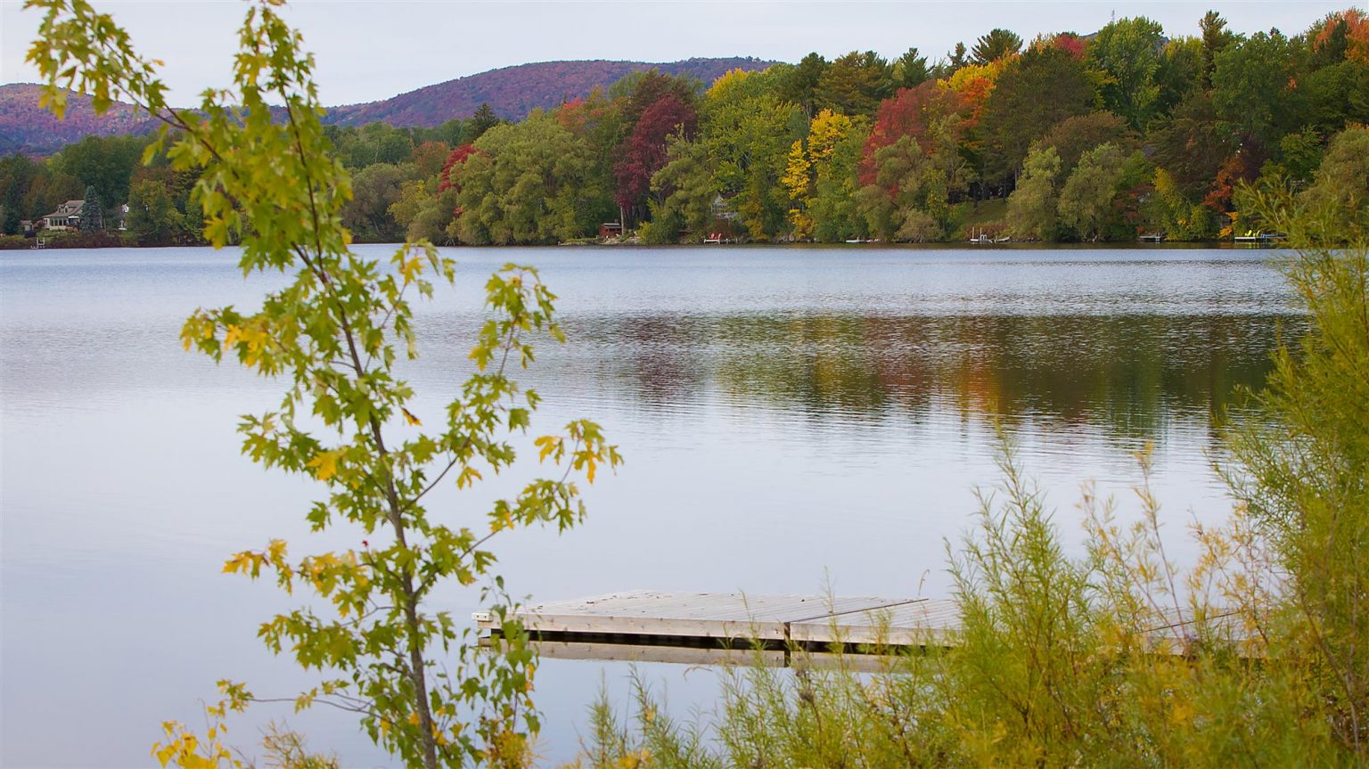 Ville de Waterloo - PARTENAIRE DE VIE ! | Parcs et espaces verts