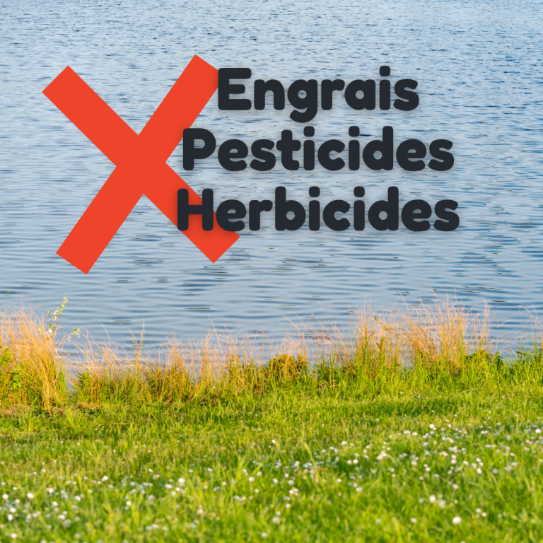 Ville de Waterloo - PARTENAIRE DE VIE ! | Lac Waterloo